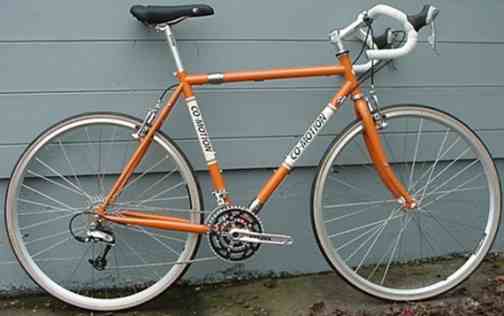 Co-Motion Americano Touring Bike